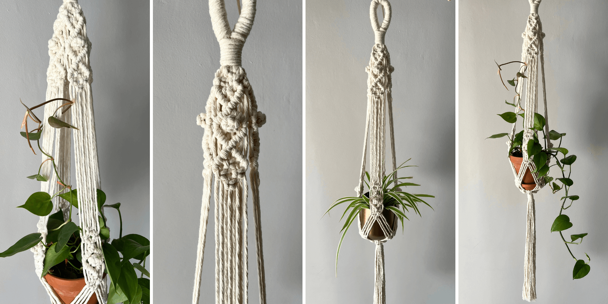 Warsztaty wiązania makramy - kwietnik - Evenea.pl